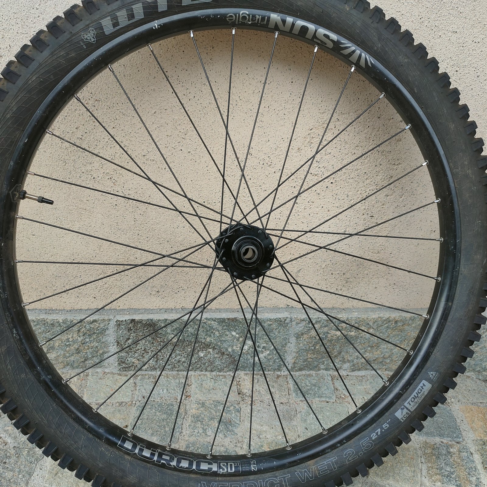 Copertoni WTB | EBIKE MAG